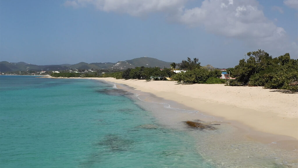 Find Your Perfect Beach: The Top 7 Beaches to Visit in St. Croix ...